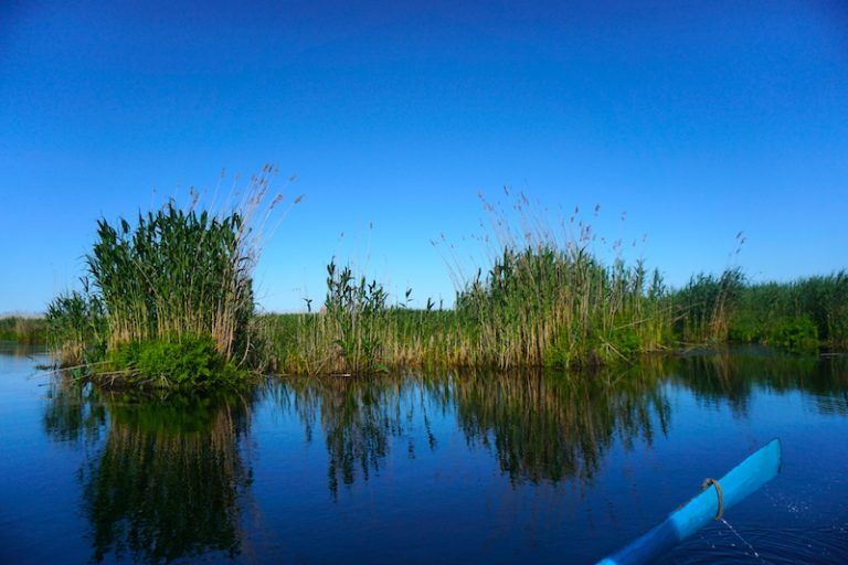 Qué ver en el Delta del Danubio y dónde dormir: guía e itinerario de 3 ...