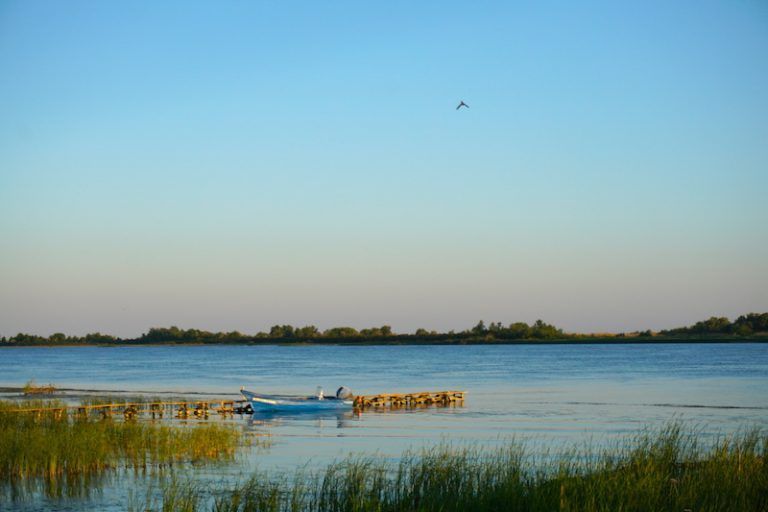 Qué ver en el Delta del Danubio y dónde dormir: guía e itinerario de 3 ...