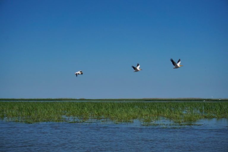 Qué ver en el Delta del Danubio y dónde dormir: guía e itinerario de 3 ...