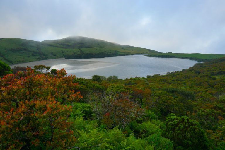 Qué ver en Pico (Azores) en 3, 5 o 7 días (una semana): la guía ...