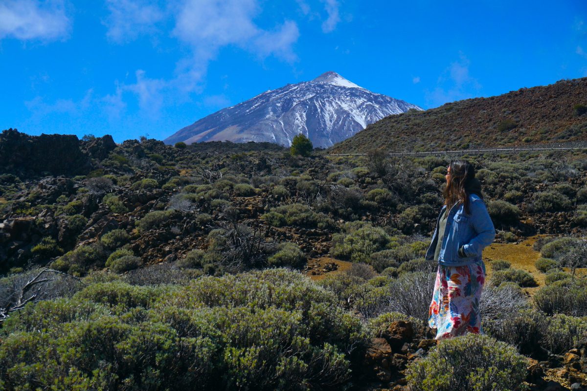 Qué ver en el Teide (Tenerife): cómo subir al Teide, senderos ...