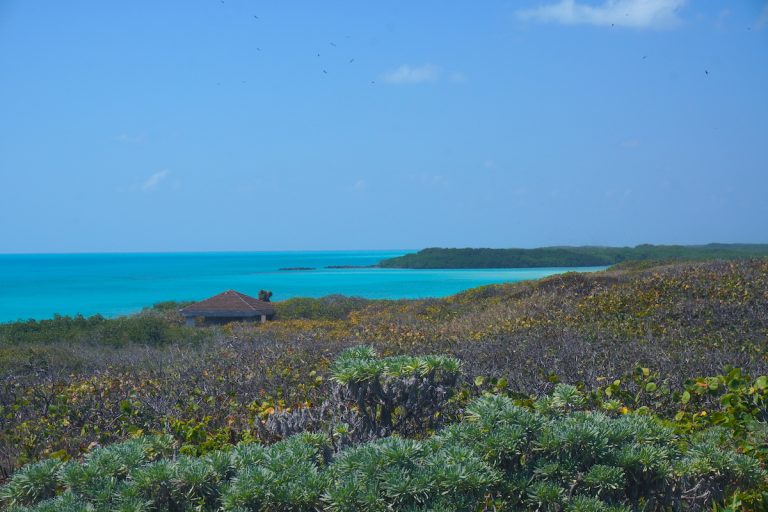 Cómo visitar Isla Contoy (Cancún, México), el último paraíso virgen del ...