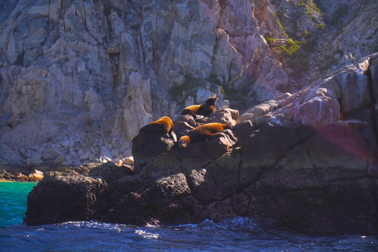 Qué hacer y qué ver en Los Cabos (Baja California Sur, México) en 1, 2 ...