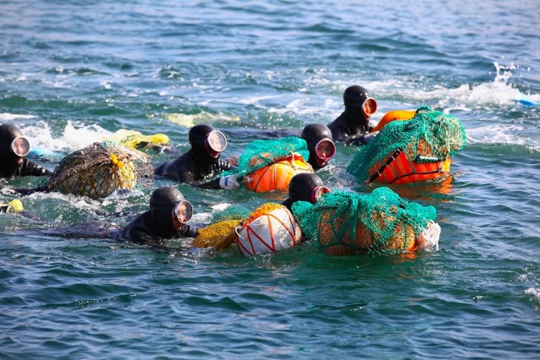 Haenyeo: una inmersión por la cultura de las mujeres buceadoras de la ...